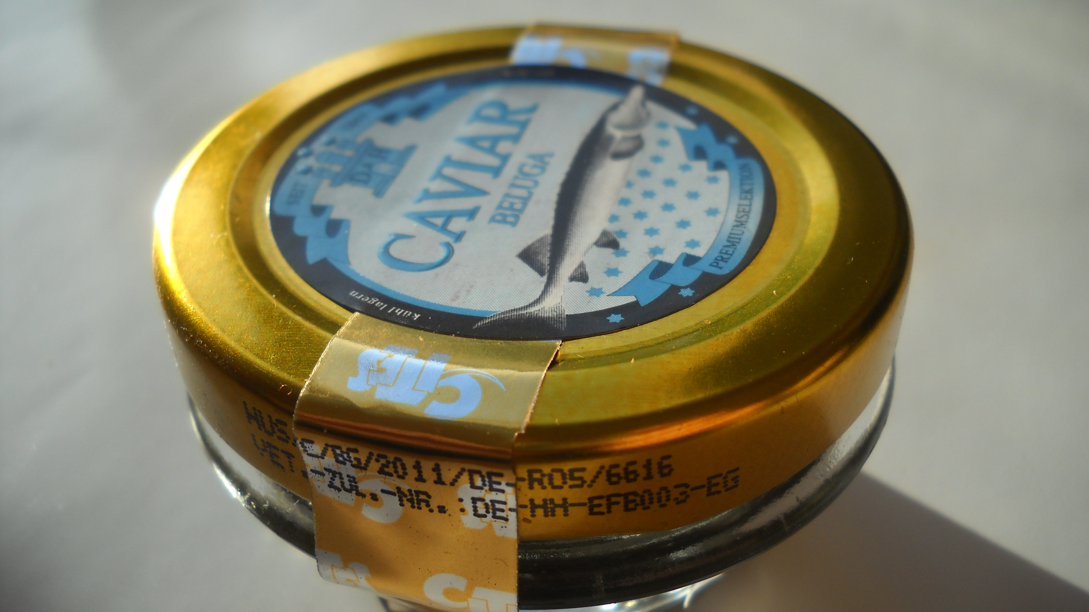 Caviar from endangered sturgeon not suitable for Christmas | WWF