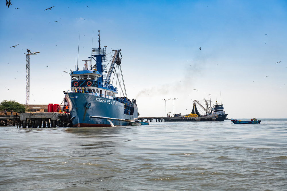 Para revertir la pérdida de naturaleza en altamar, las “aguas de nadie ...