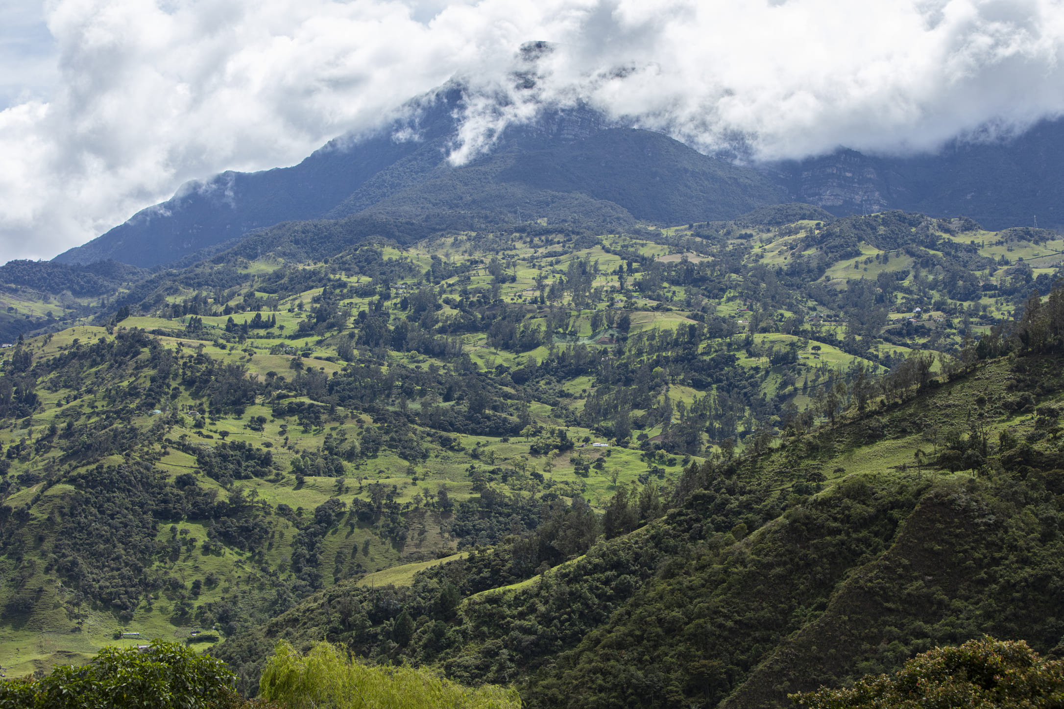 Las familias convierten sus tierras en áreas protegidas para la ...