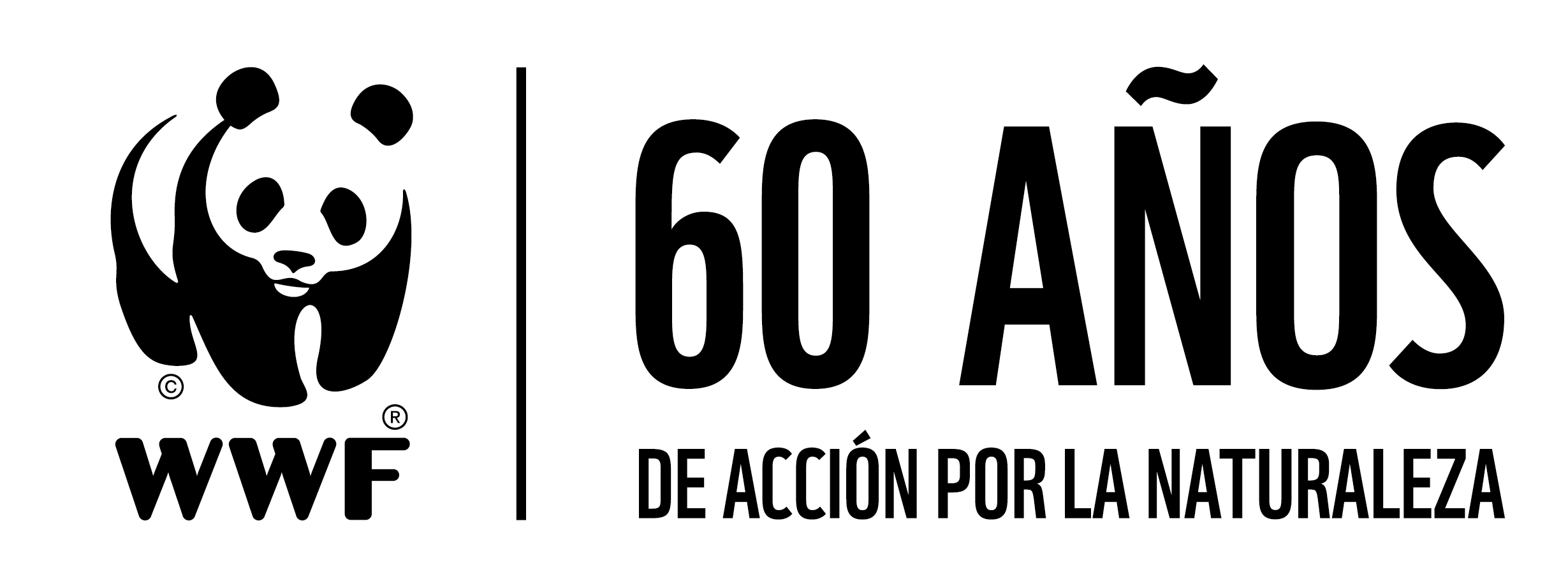 WWF cumple 60 años de impacto en la conservación y pide que se actúe ...