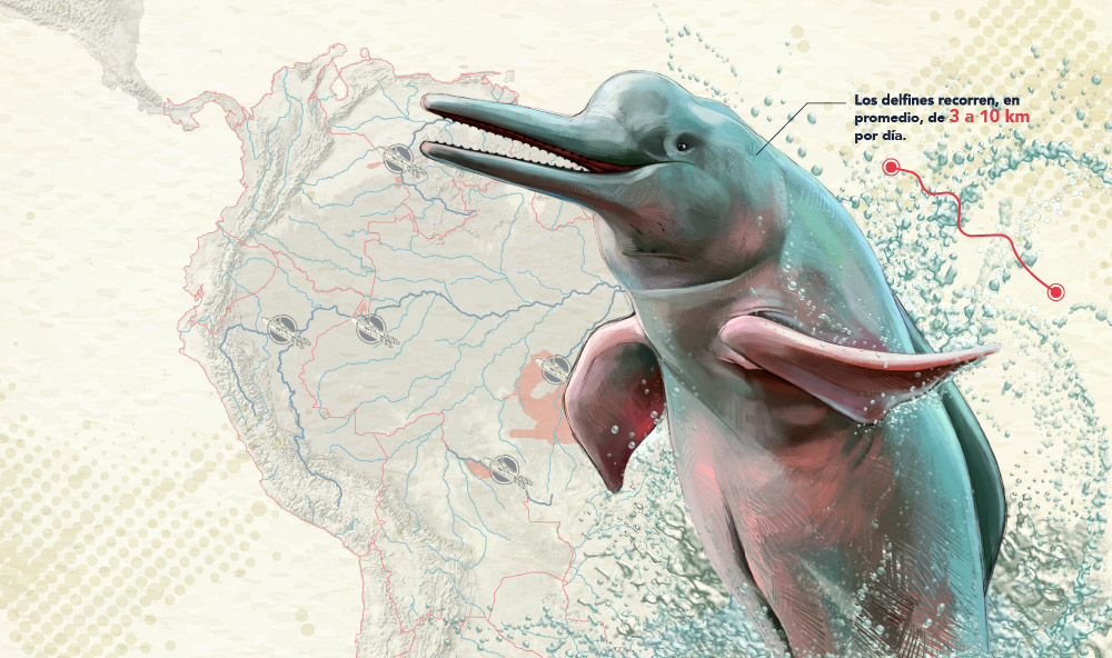 Científicos lanzan plataforma con información inédita para conservar la ...