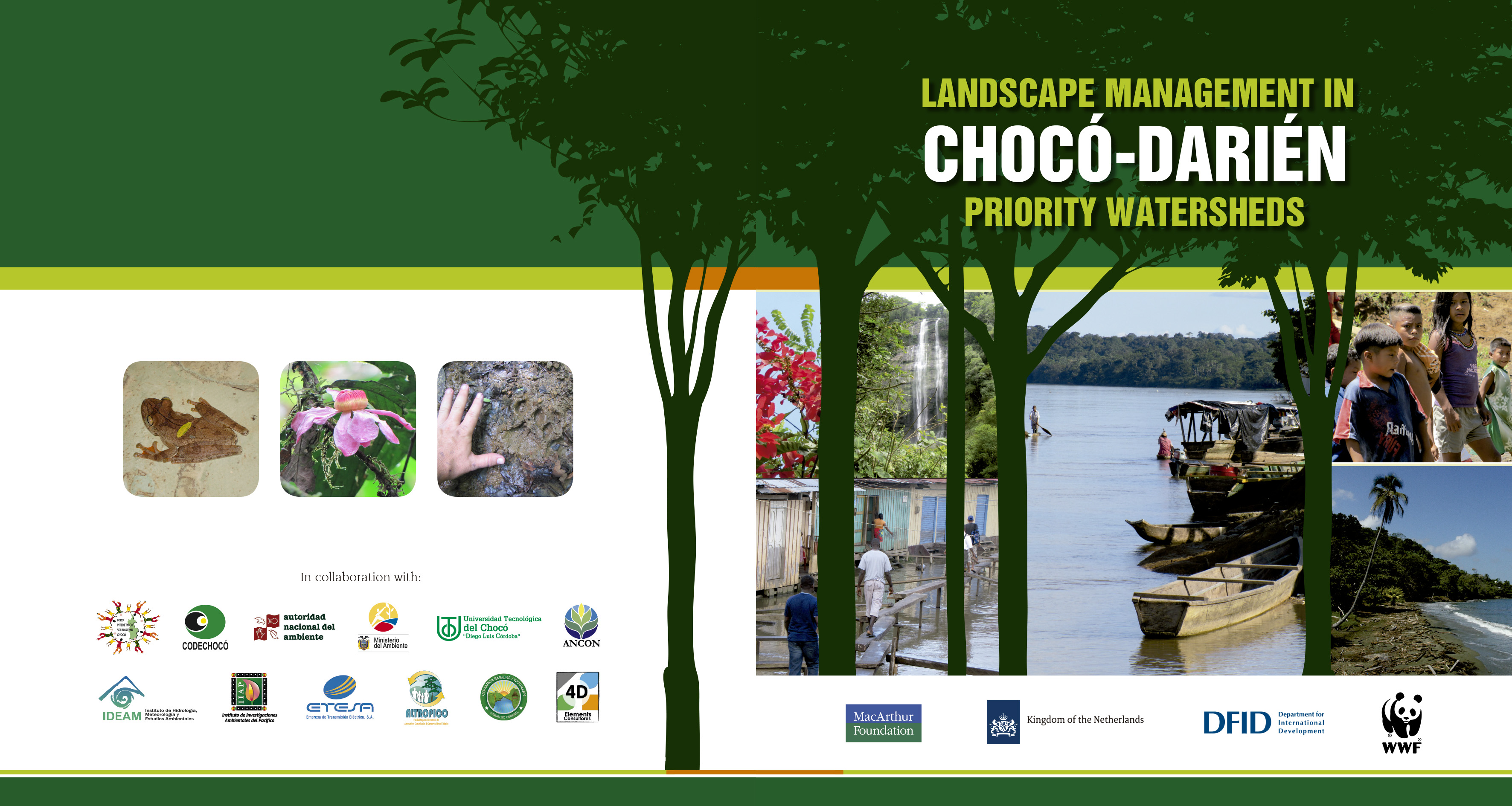 Documento: Landscape Management in Chocó-Darién Priority Watersheds | WWF