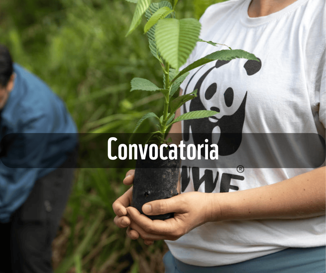 MF SDP-035 - Contratación de servicios hoteleros mediante acuerdo marco ...