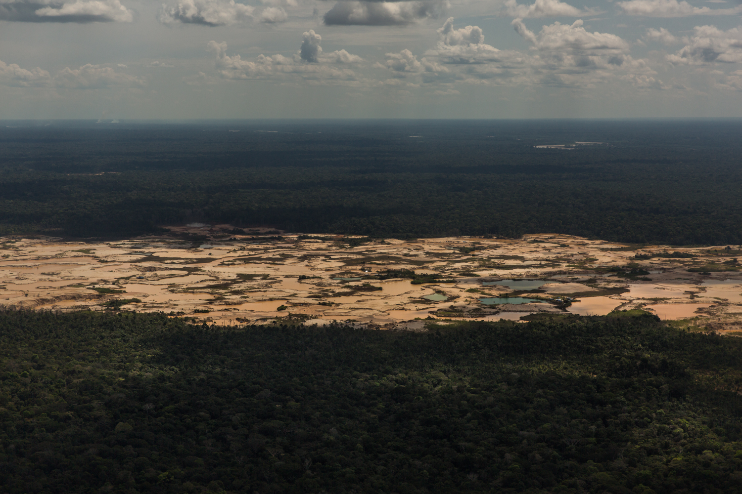 Toxic mercury poisoning the Amazon | WWF