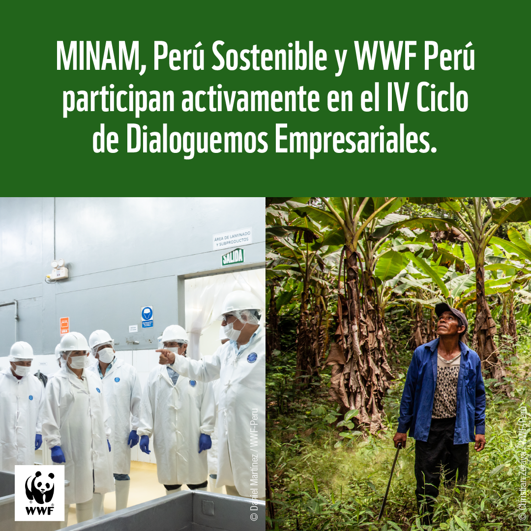 MINAM, Perú Sostenible y WWF Perú participan activamente en el IV Ciclo ...