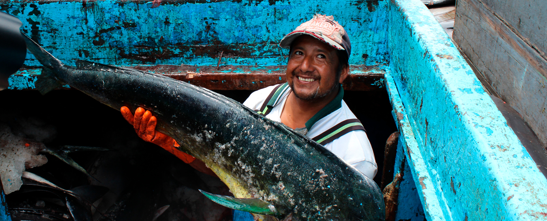 Ecuador recuerda el Día de los Océanos con proyecto de trazabilidad de ...