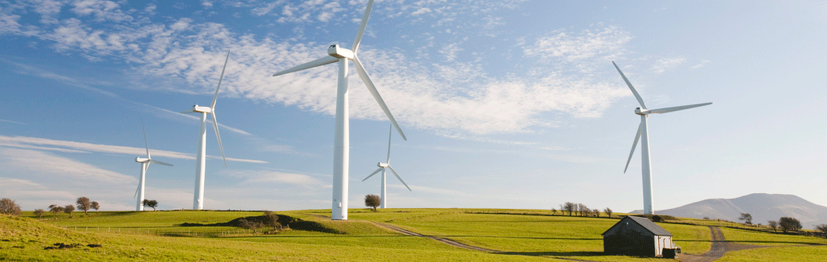 WWF Chile presentó observaciones a proyecto eólico Pililín | WWF