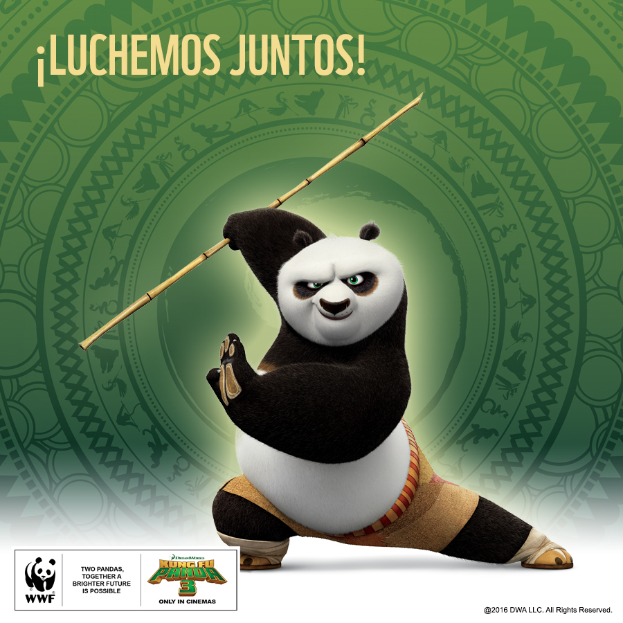 Conviértete en un guerrero Panda | WWF