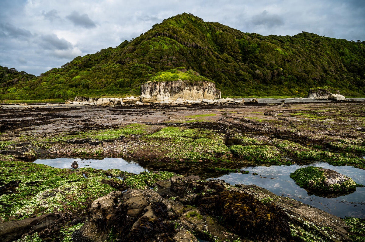 Avanza proceso participativo para ECMPO en isla Guafo | WWF