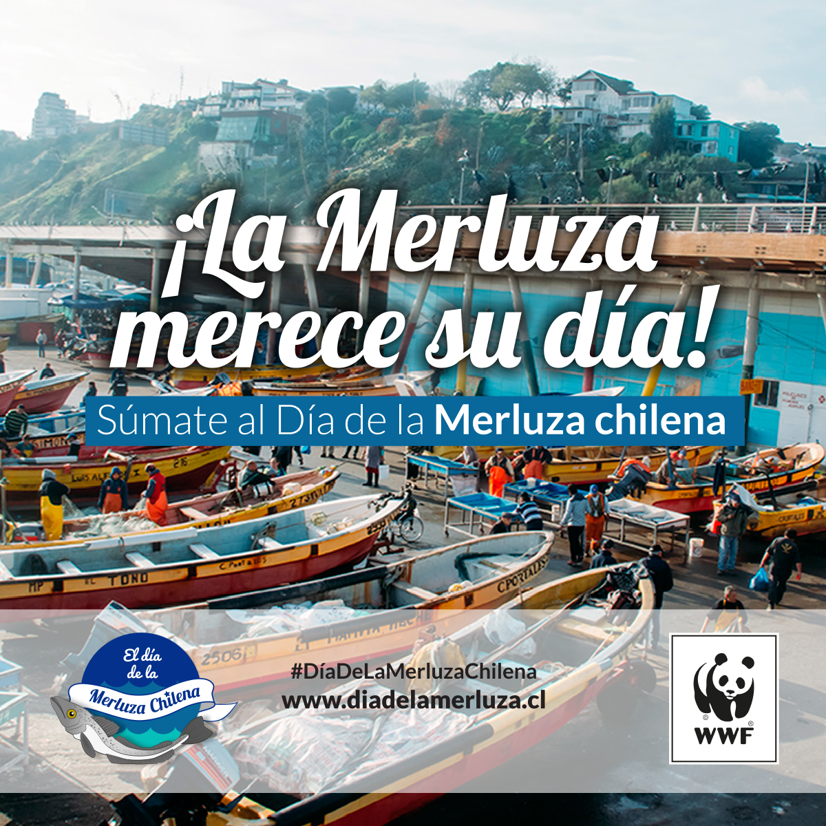 Tras la finalización de la veda de la merluza común, WWF te invita a ...