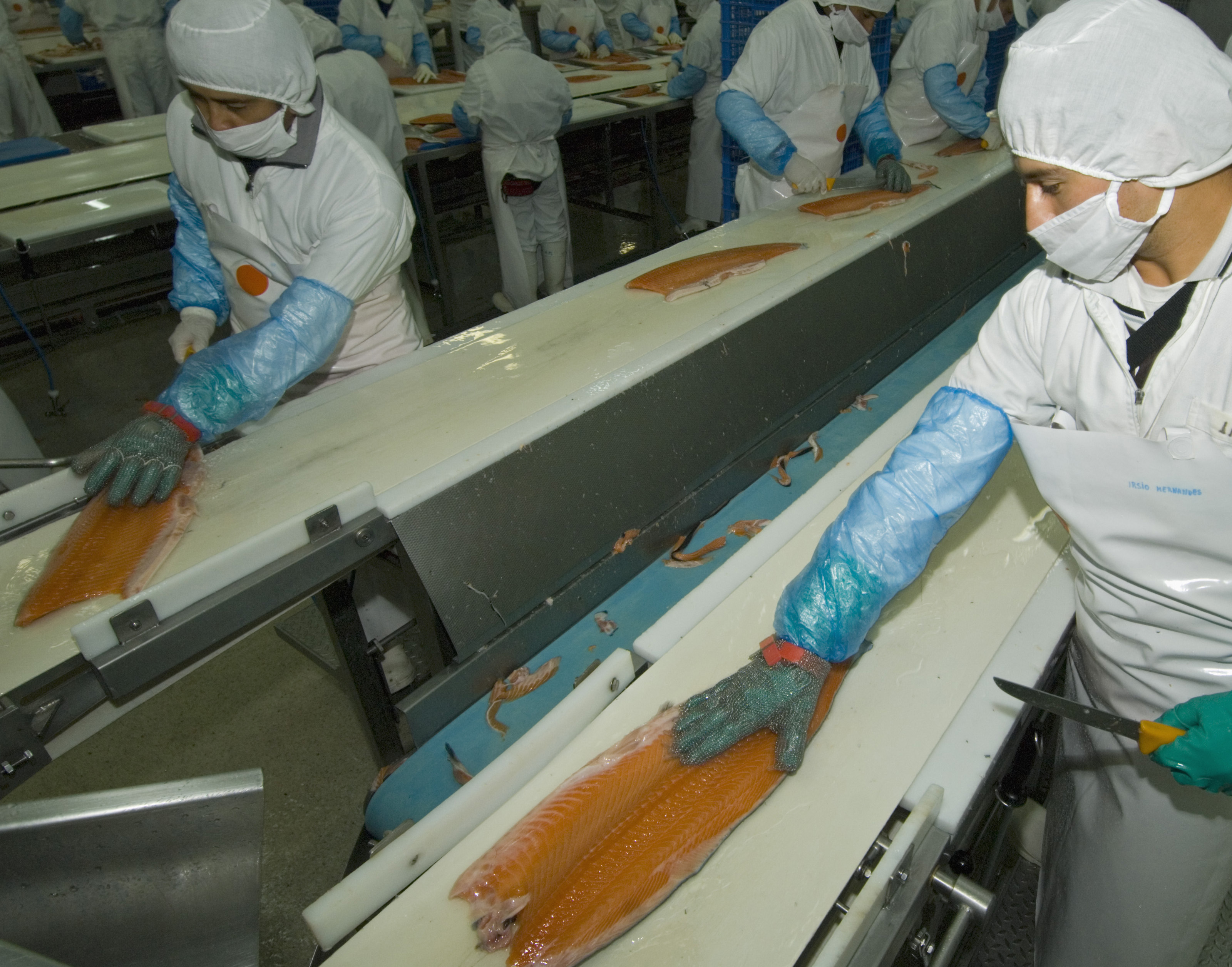 Diálogo sobre Salmonicultura presenta primer borrador de estándares y ...