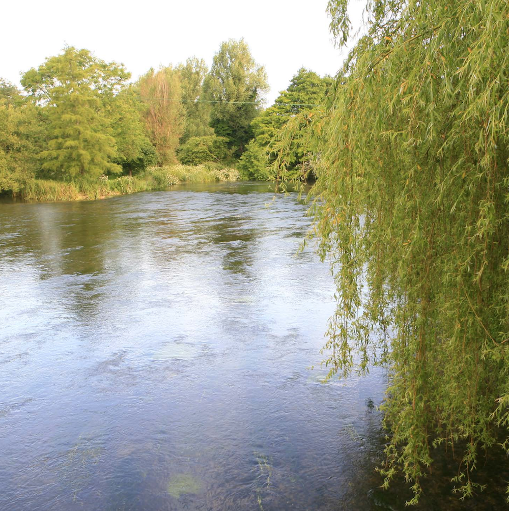 Protecting river flows critical for global water supplies and ...