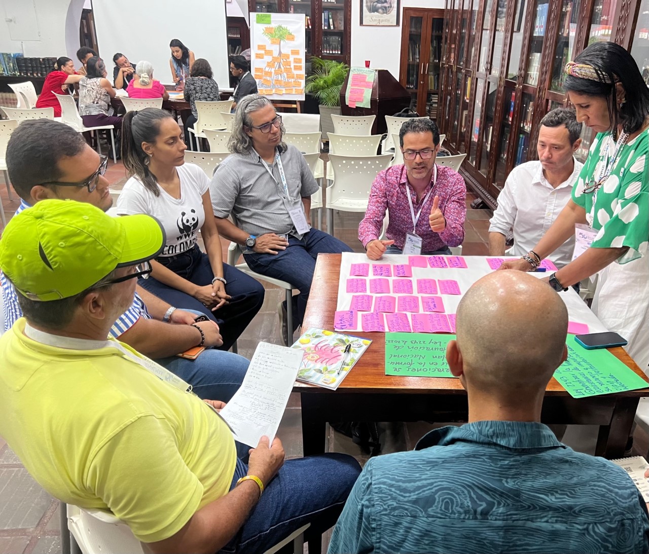 Manglares para la comunidad y el clima: un taller de lazos fuertes y ...
