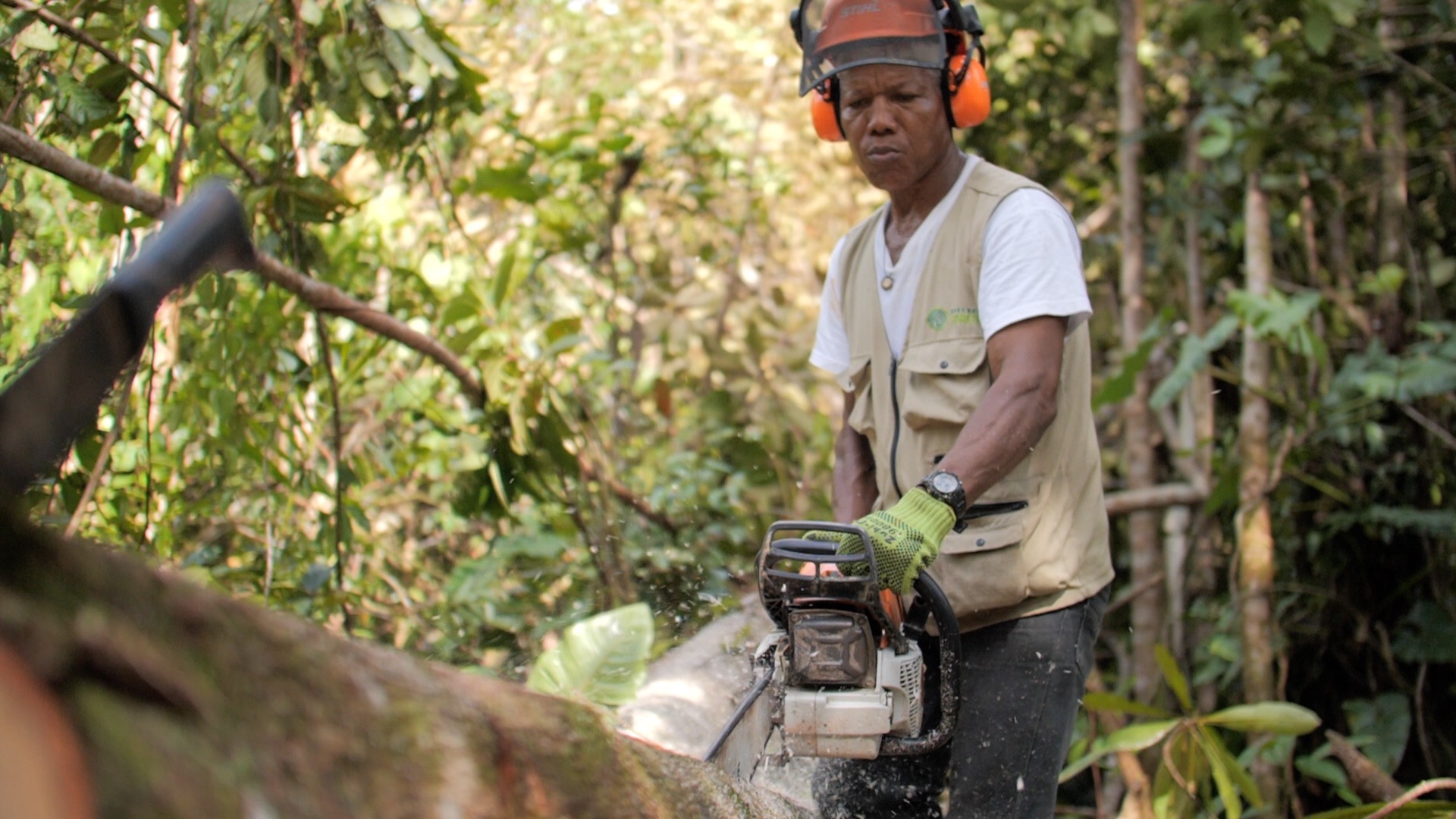 La apuesta de familias en Guapi para vivir del bosque sin impulsar la ...