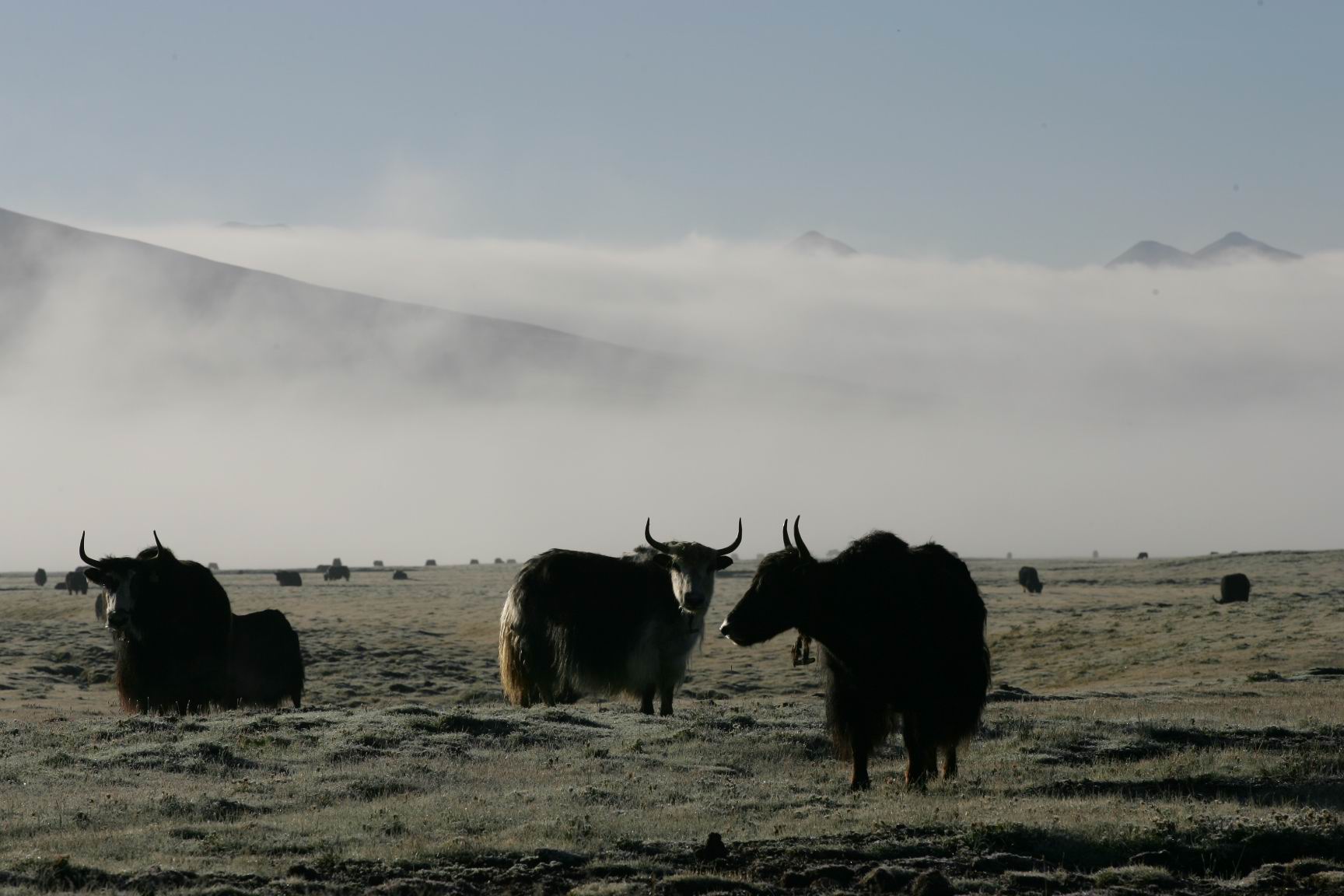 Climate Witness: Suo Bao, China | WWF