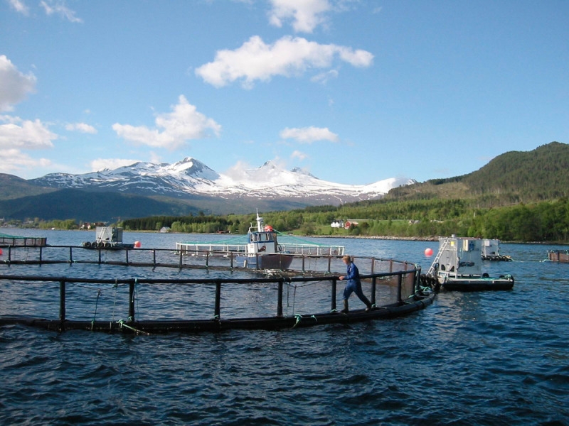 Diálogo sobre salmonicultura presenta sus estandares ambientales y ...