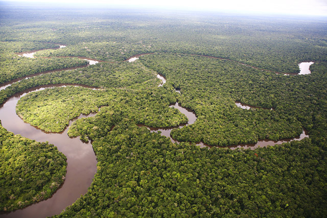 Amazonía Viva: una oportunidad de conservación para Madre de Dios | WWF