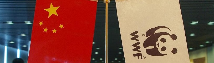 Informe de WWF revela que China puede cumplir compromisos climáticos ...