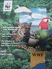 WWF Centroamérica - Magazine Nº5 | WWF